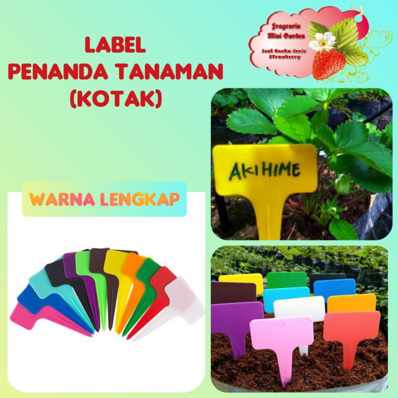 Jual label penanda tanaman | Shopee Indonesia