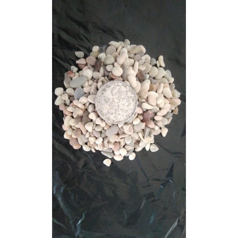 Jual Batu Alam Putih Koral Putih 1KG batu taman hiasan tanaman pot ...