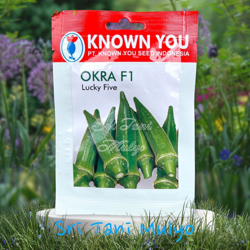 Jual BENIH KYS KNOWN YOU SEED OKRA F1 LUCKY FIVE 25 BIJI KEMASAN PABRIK SRI TANI MULYO | Shopee ...