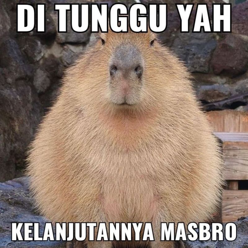 Jual Figura masbro (capybara, anime, genshin impact) | Shopee Indonesia