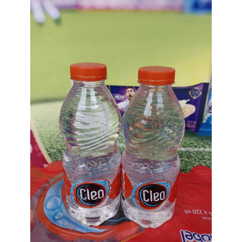 Jual Air Mineral Cleo Botol 220 ML 1 Dus | Shopee Indonesia