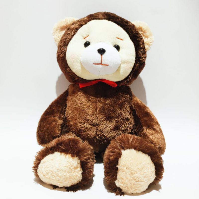 Jual Boneka Teddy bear Choco Ruby Rainbow size XL tinggi 50cm | Shopee ...