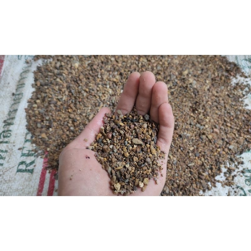 Jual Tia sand pasir natural biotope aquascape Tia sen pasir kali ...