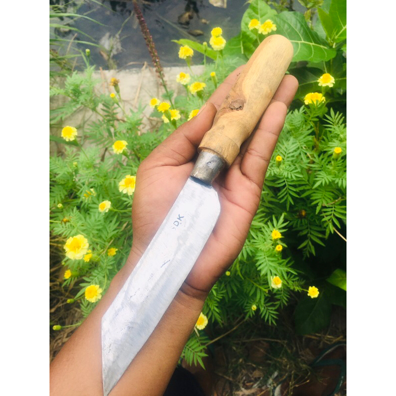 Jual pisau dapur super tajam | Shopee Indonesia