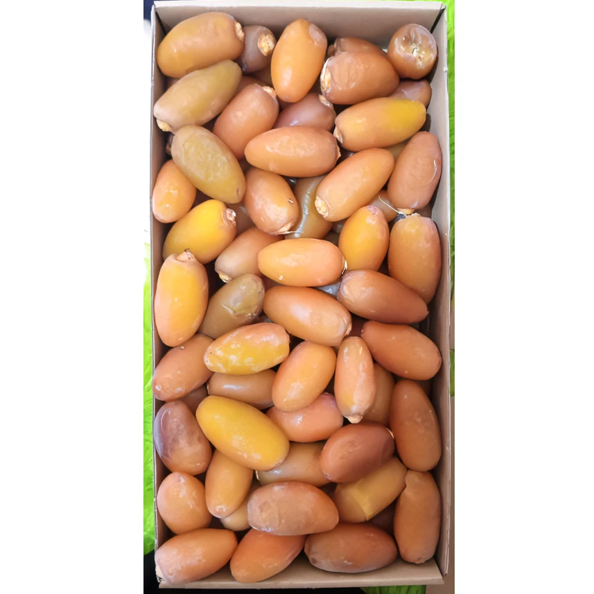 Jual Kurma ruthob libya kurma muda kurma frozen kemasan 1kg | Shopee ...