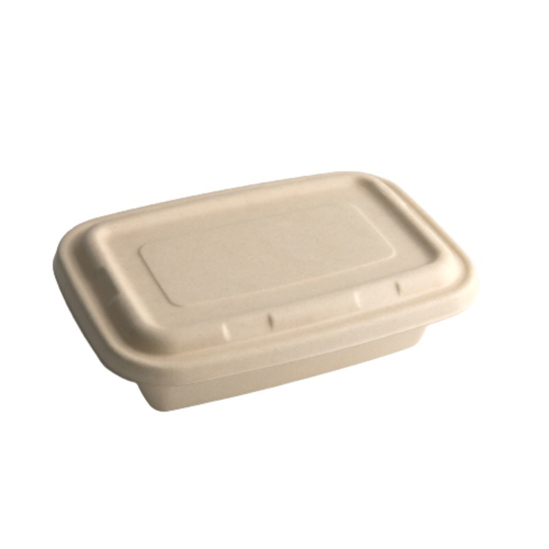 Jual Safeco Bagasse Lunch Box Dus Catering Bento Kotak Kemasan Tempat Makan Katering Packaging ...