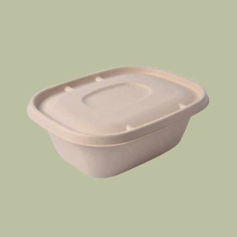 Jual Safeco Bagasse Lunch Box Dus Catering Bento Kotak Kemasan Tempat Makan Katering Packaging ...