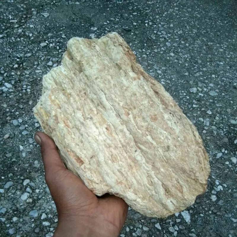 Jual Getah Damar Asli | Shopee Indonesia