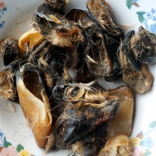 Jual Lamb Hooves Jerky / Dog Snack Treats Makanan Cemilan Anjing ...