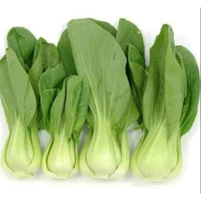 Jual sayur pakcoy 500gr | Shopee Indonesia