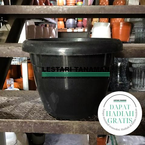 Jual Pot Plastik Hitam Simba TERATAI 45 Bahan Berkualitas Tebal ...