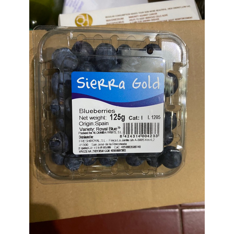 Jual Blueberry original spain/ Buah blueberry import spain 125g ...