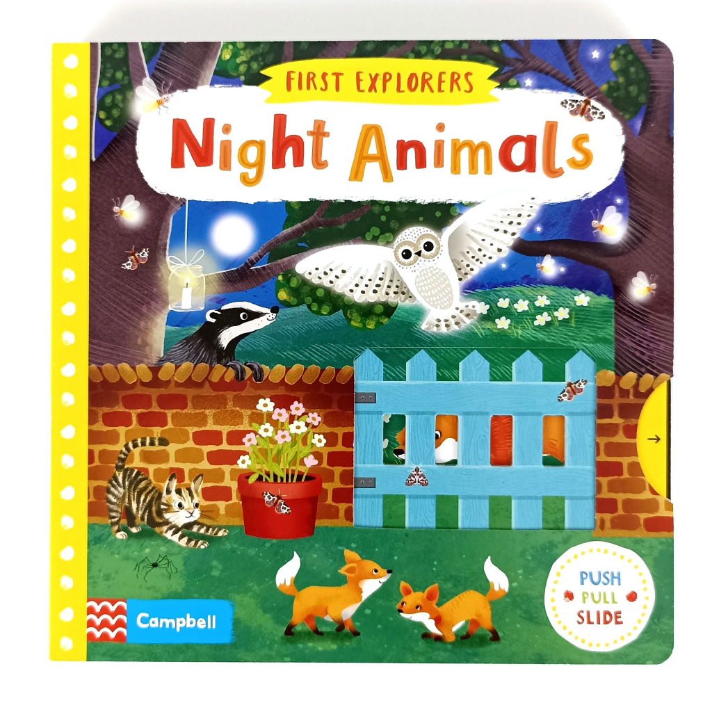 Jual ORIGINAL First Explorers Night Animals - Leon Books | Shopee Indonesia
