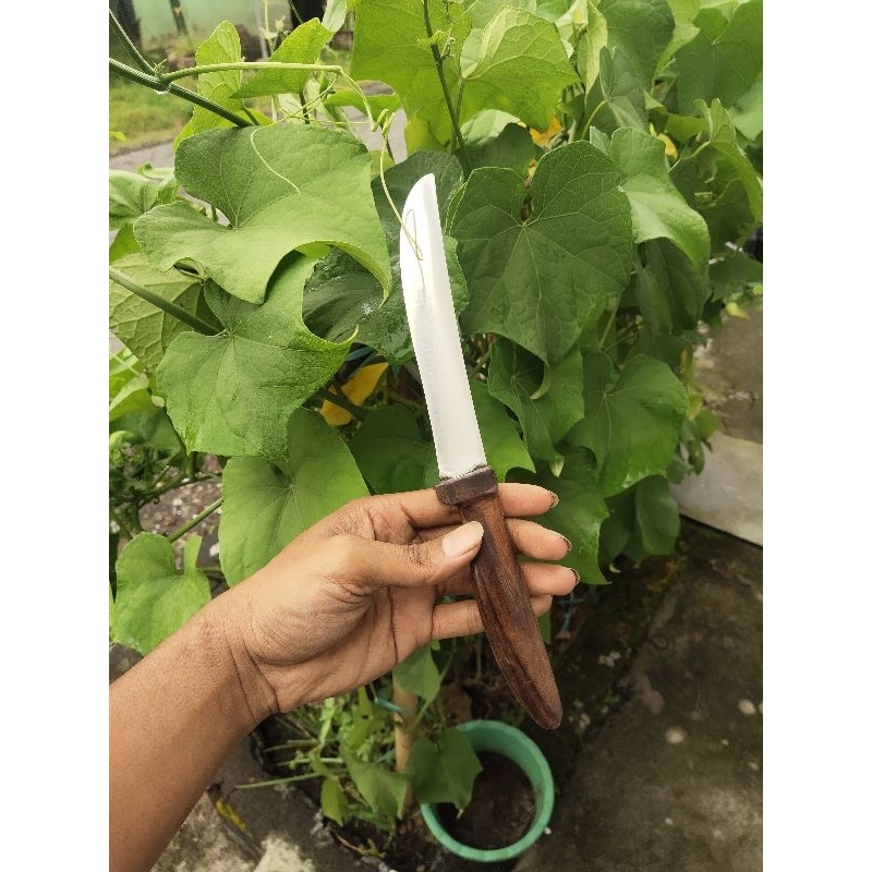 Jual pisau elmax steel original | Shopee Indonesia