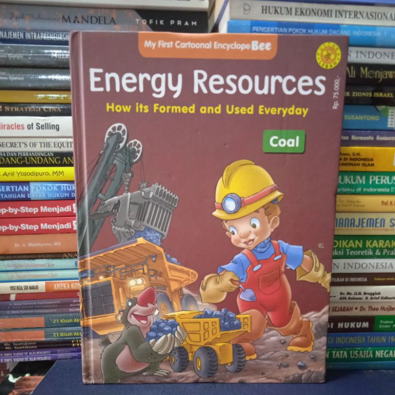 Jual Buku Original ENERGY RESOURCES HOW ITS FORMED AND USED EVERYDAY ...