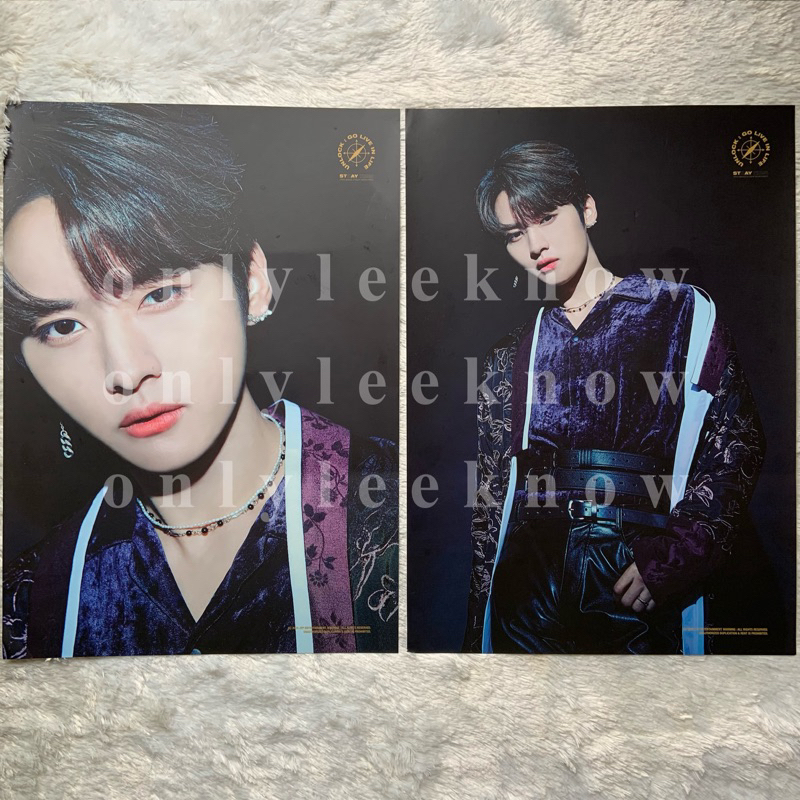 Jual Stray Kids Lee Know Unlock : Go Live In Life Poster | Shopee Indonesia