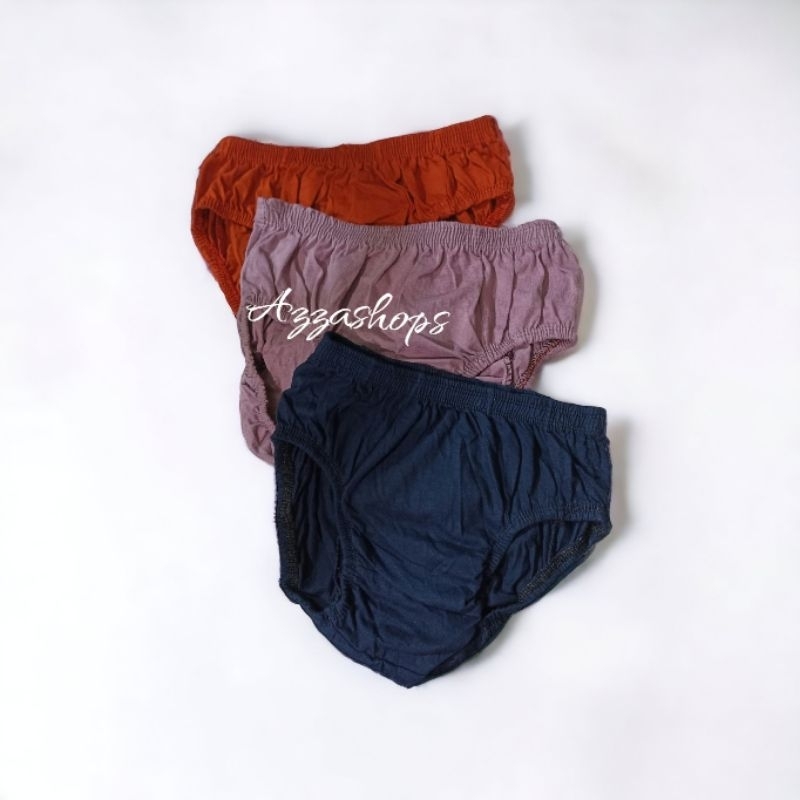 Jual 12 PCS Celana Dalam Anak Laki Sempak Anak Laki Model Polos Bahan ...