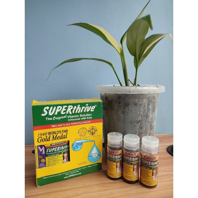 Jual SUPERTHRIVE vitamin hormone 25 ml vitamin hormon premium untuk tanaman | Shopee Indonesia