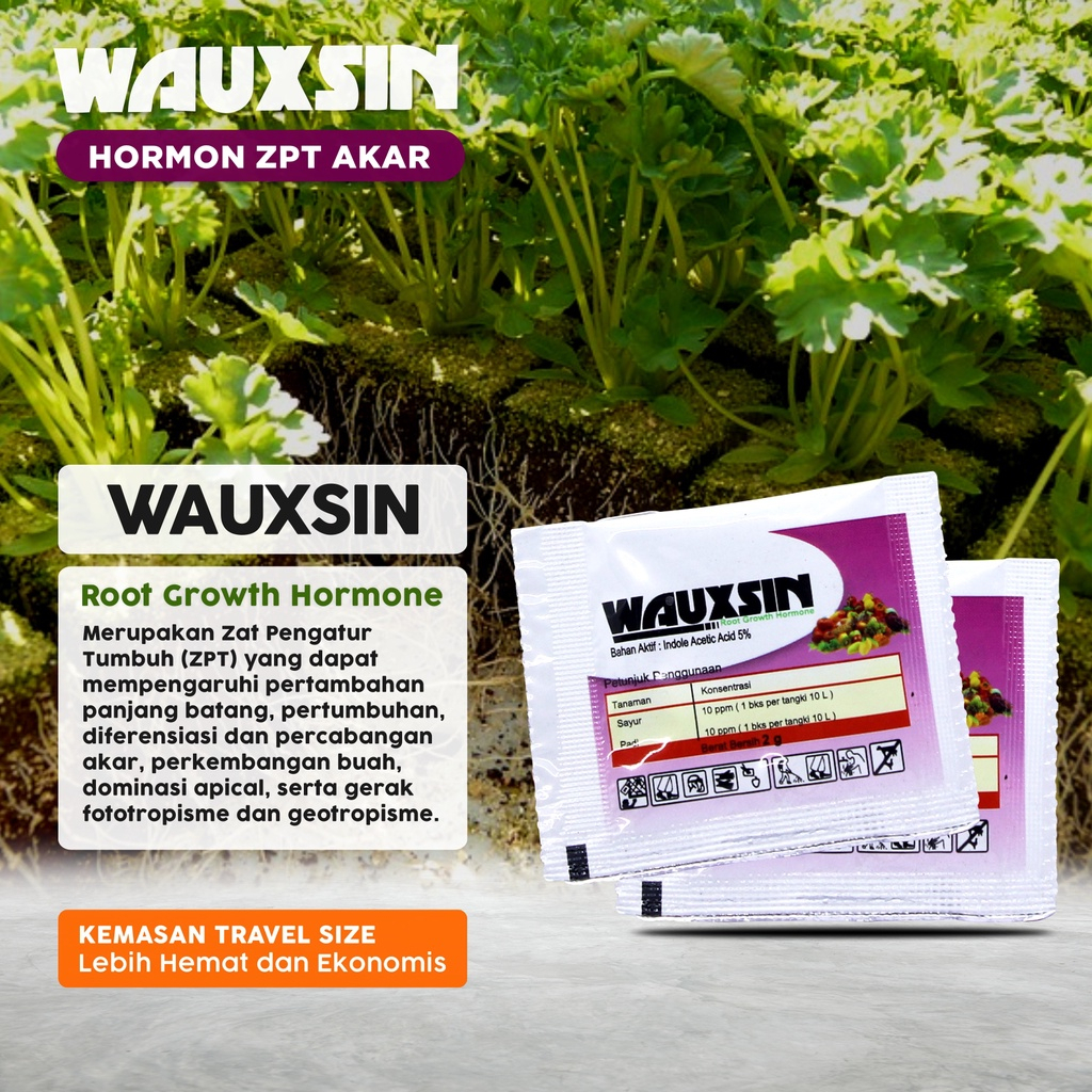 Jual WAUXSIN hormon zpt penumbuh akar wauksin auksin perangsang akar ...
