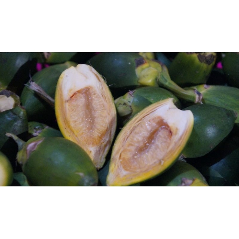 Jual Jambe Pinang Muda | Shopee Indonesia