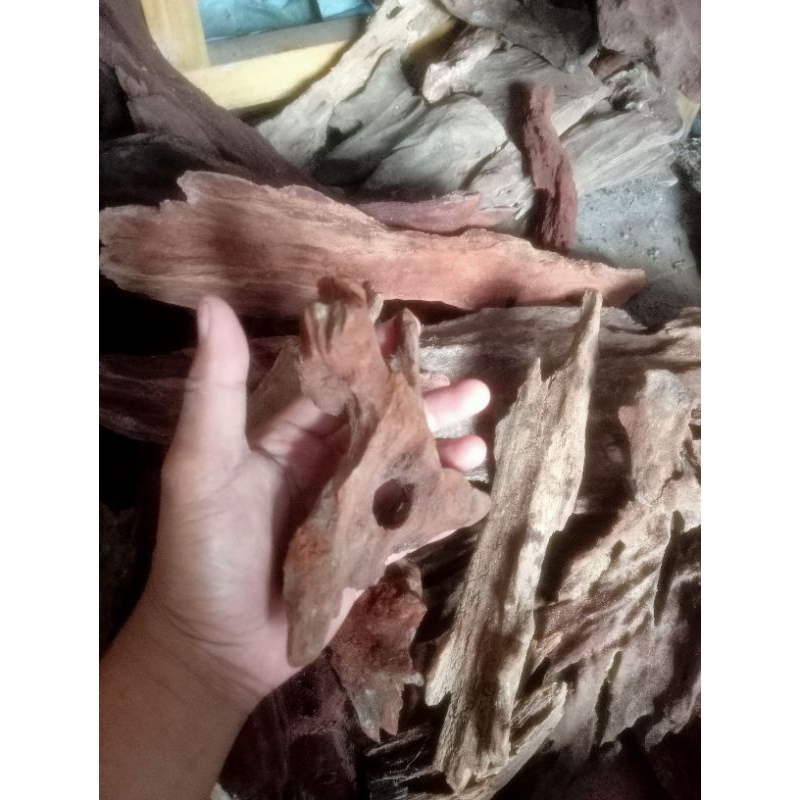 Jual Kayu Rentek | Shopee Indonesia