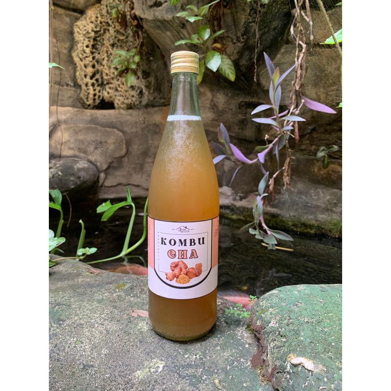 Jual 750ml Kombucha Ginger (Jahe) | by Rumah Fermentasi | Shopee Indonesia