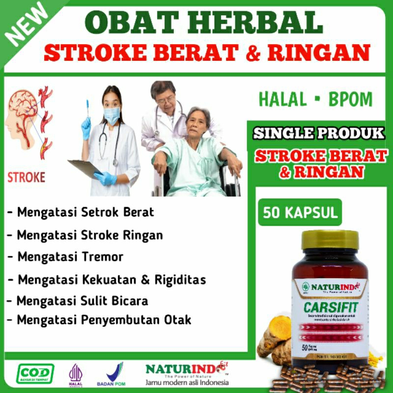 Jual Obat Herbal Pasca Stroke Strok Struk Ringan & Berat Lumpuh Mati ...