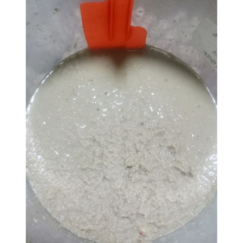 Jual Jahe Merah Asli Giling Halus Basah Fresh 1kg | Shopee Indonesia