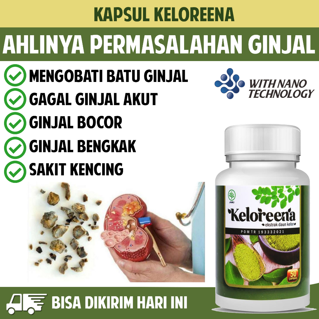 Jual Obat Batu Ginjal Infeksi Ginjal Gagal Ginjal Akut Kronis Ginjal ...
