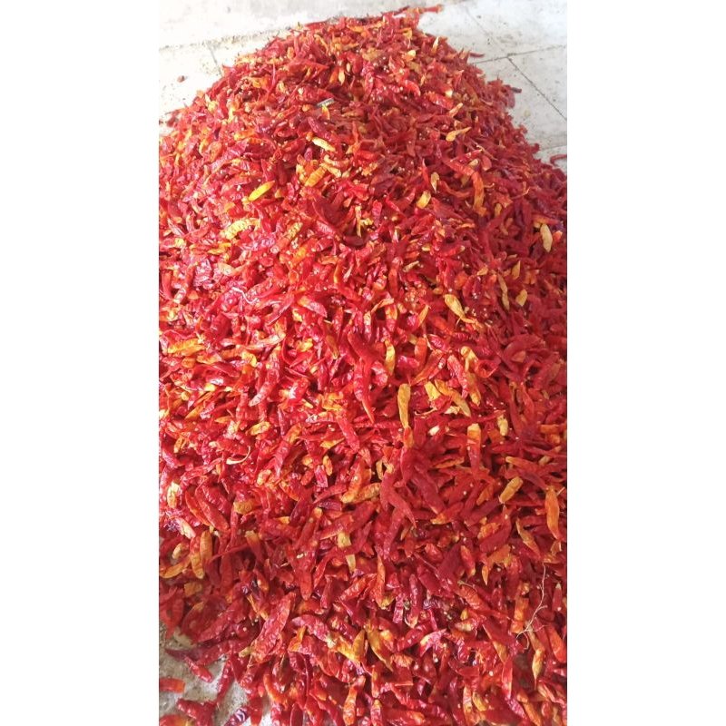 Jual Cabe Rawit Kering Setan 250 gram | Shopee Indonesia