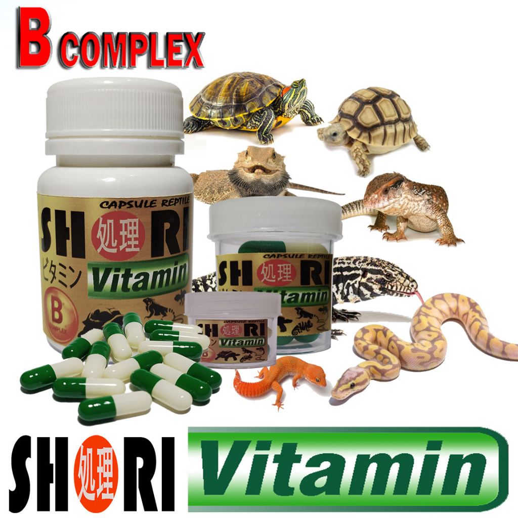 Jual SHORI VITAMIN KAPSUL SUPLEMEN KURA KADAL ULAR IGUANA GECKO BD ...