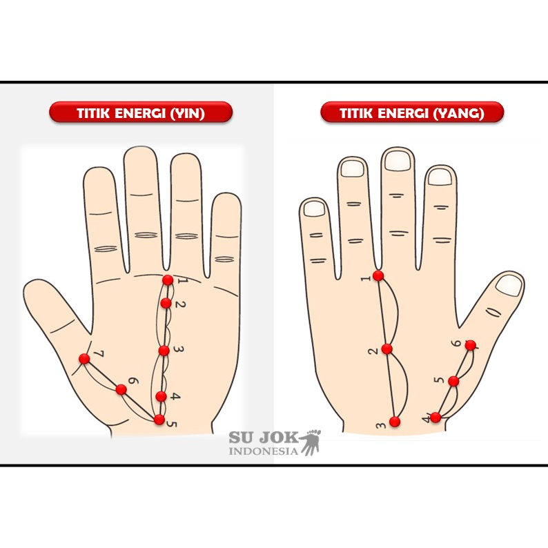 Jual PAKET ENERGY ~ SUJOK | Shopee Indonesia