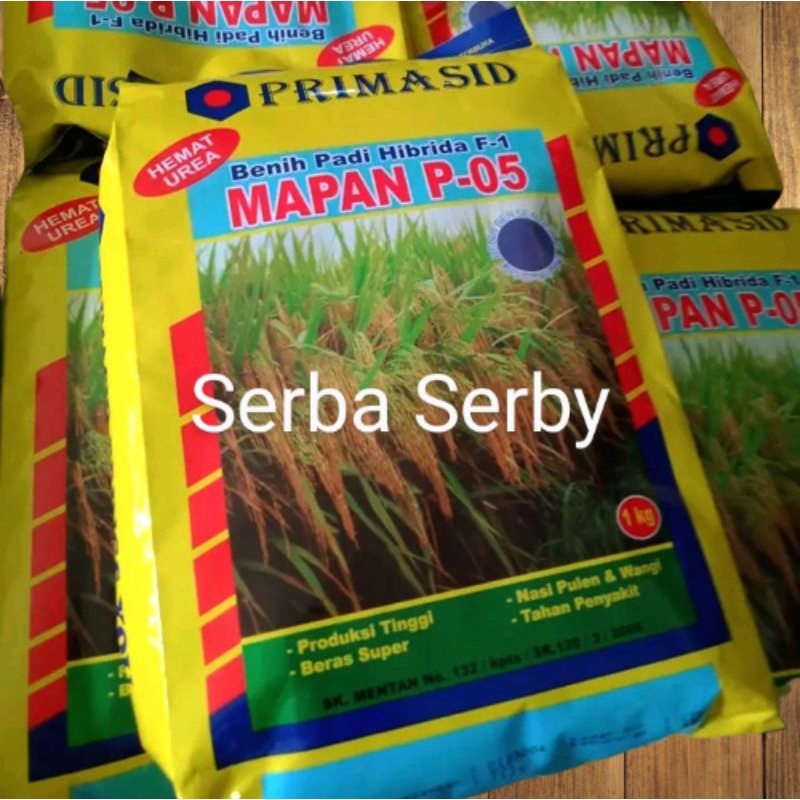 Jual Benih/Bibit Padi Hibrida F-1 Primasid Mapan P-05 1kg 100%Ori Serba ...