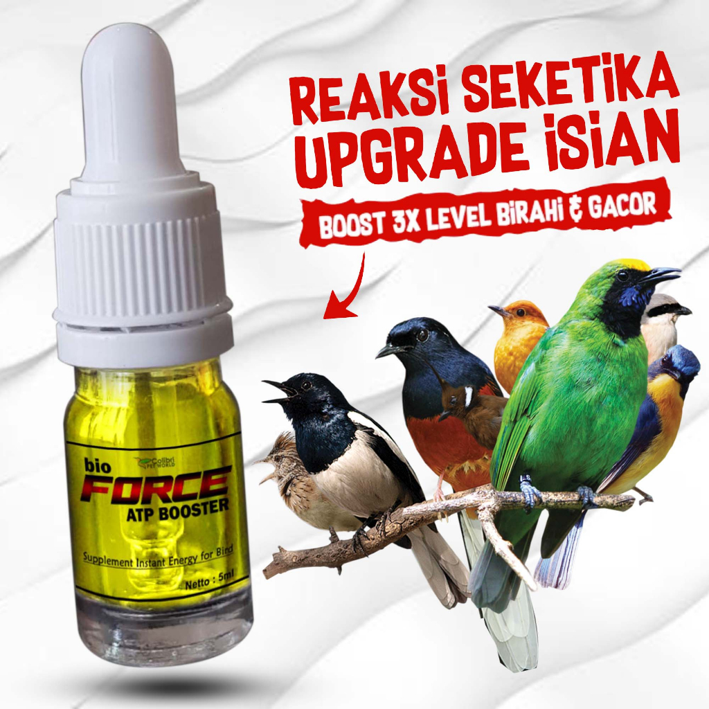 Jual Bio FORCE ATP BOOSTER vitamin suplemen penggacor burung Murai batu ...