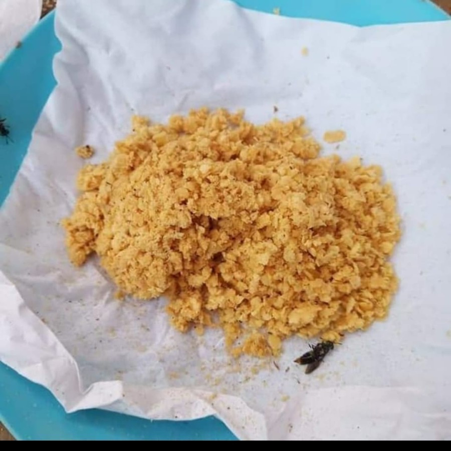 Jual Telur Maggot BSF | Shopee Indonesia