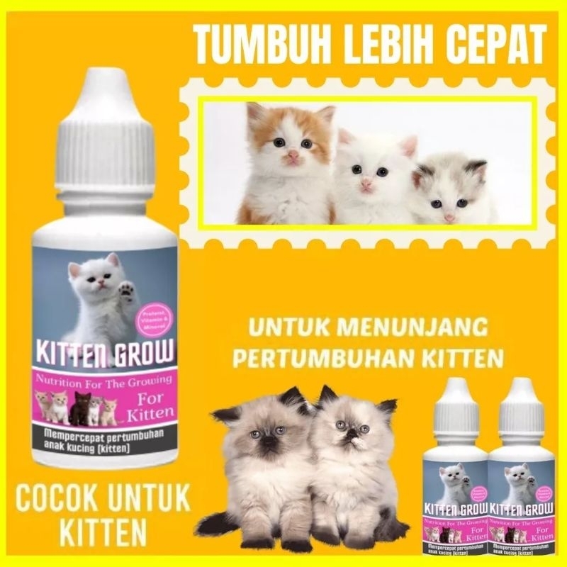 Jual Vitamin Anak kucing Nutrisi Pertumbuhan Kitten NDARUFRAM | Shopee ...
