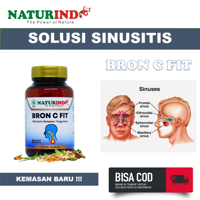 Jual Obat Sinusitis Polip Hidung Menahun Radang Dinding Sinus Berlendir ...