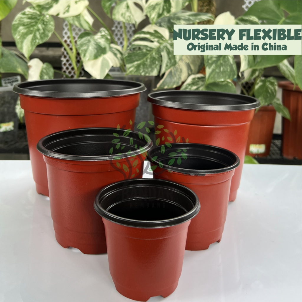Jual Pot Bunga Flexible Merah Hitam Orginal Made in China Berbagai ...