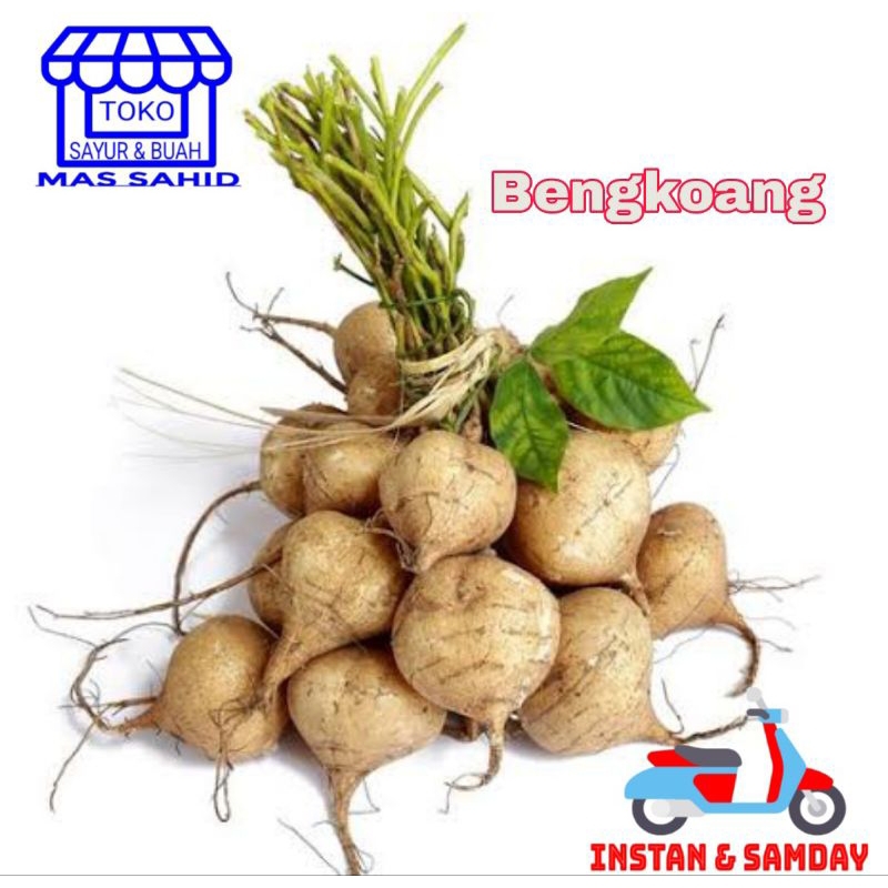 Jual Bengkuang Segar BengKoang Fres | Shopee Indonesia