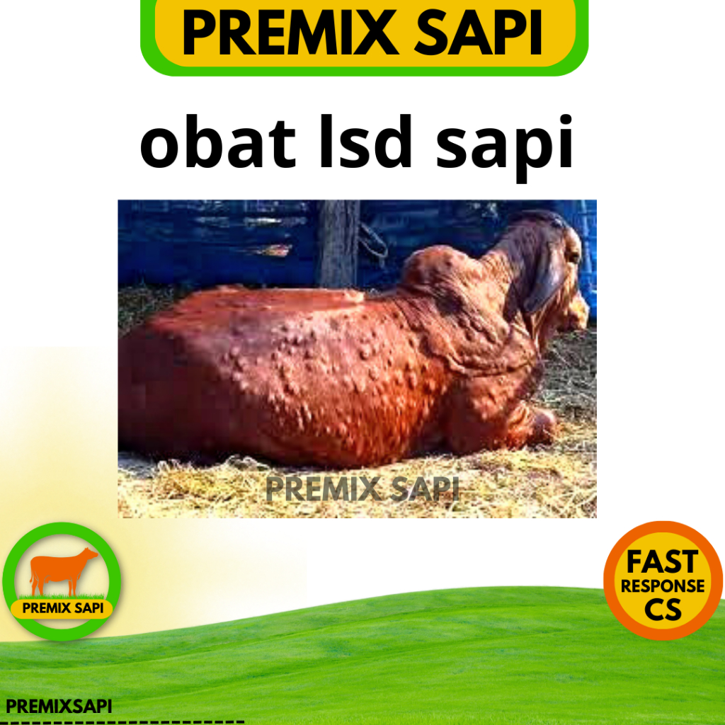 Jual OBAT LSD SAPI AMPUH KOMPLIT - OBAT PENYAKIT KULIT SAPI LSD LUMPY ...