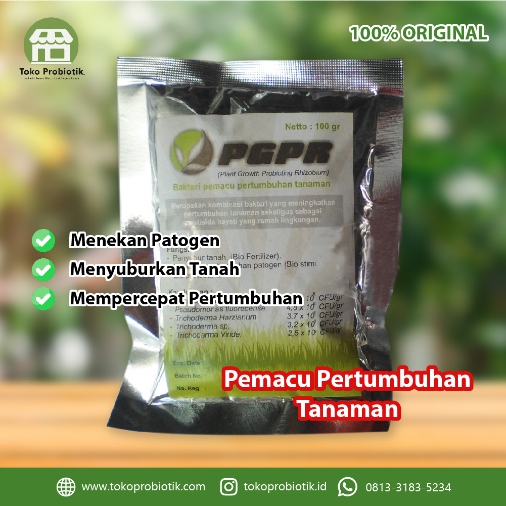 Jual PGPR - Pupuk untuk Memacu Pertumbuhan Tanaman | Shopee Indonesia