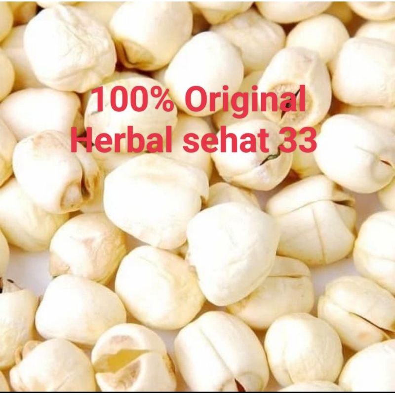 Jual biji teratai lotus seed / Lian zi 100gr | Shopee Indonesia