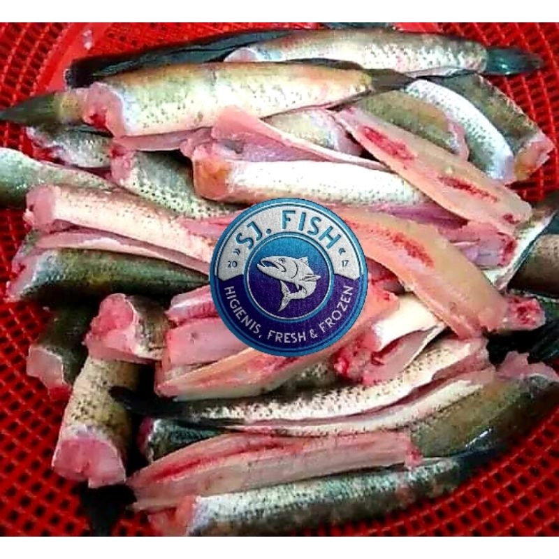 Jual DAGING IKAN GABUS FILLET 1 KG | Shopee Indonesia