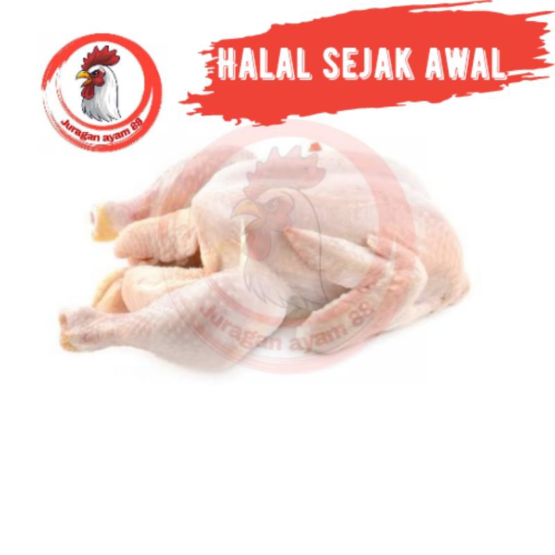 Jual ayam broiler ayam Frozen ayam utuh ayam segar 500gr | Shopee Indonesia
