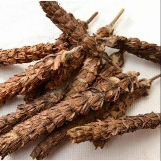 Jual XIA KU GU CAO SPICA PRUNELLAE PRUNELLA VULGARIS HE KO CAO 600gram ...