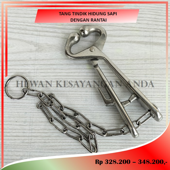 Jual Alat Tindik Hidung Tang Hidung dengan Rantai Sapi Kerbau Kuda dll ...