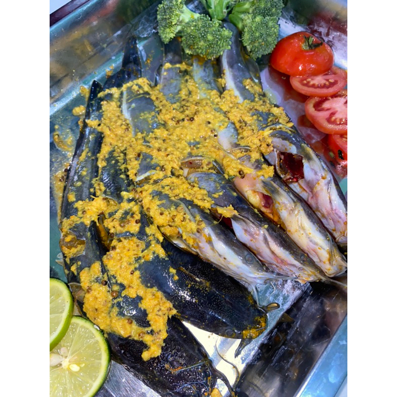 Jual Lele bumbu kuning/ lele ungkep/ lele frozen/ lele fresh/ lele ...