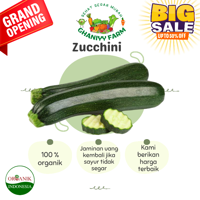 Jual Sayur Organik Zucchini Organik 500Gram | Shopee Indonesia