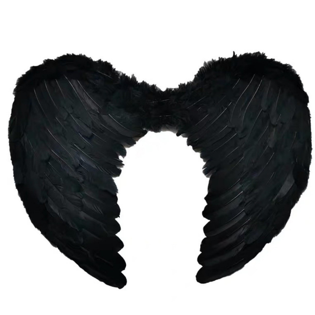 Jual sayap malaikat / sayap cosplay /Sayap Malaikat ( Angel Wing ...