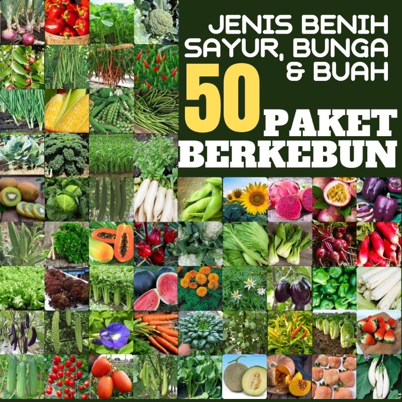 Jual Paket 50 Jenis benih bibit biji sayur, bunga dan buah | Shopee ...